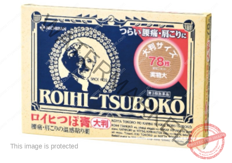 ROIHI TSUBOKO Pain Relief Coin Patches sheet Big size 78 sheets | Eve's ...